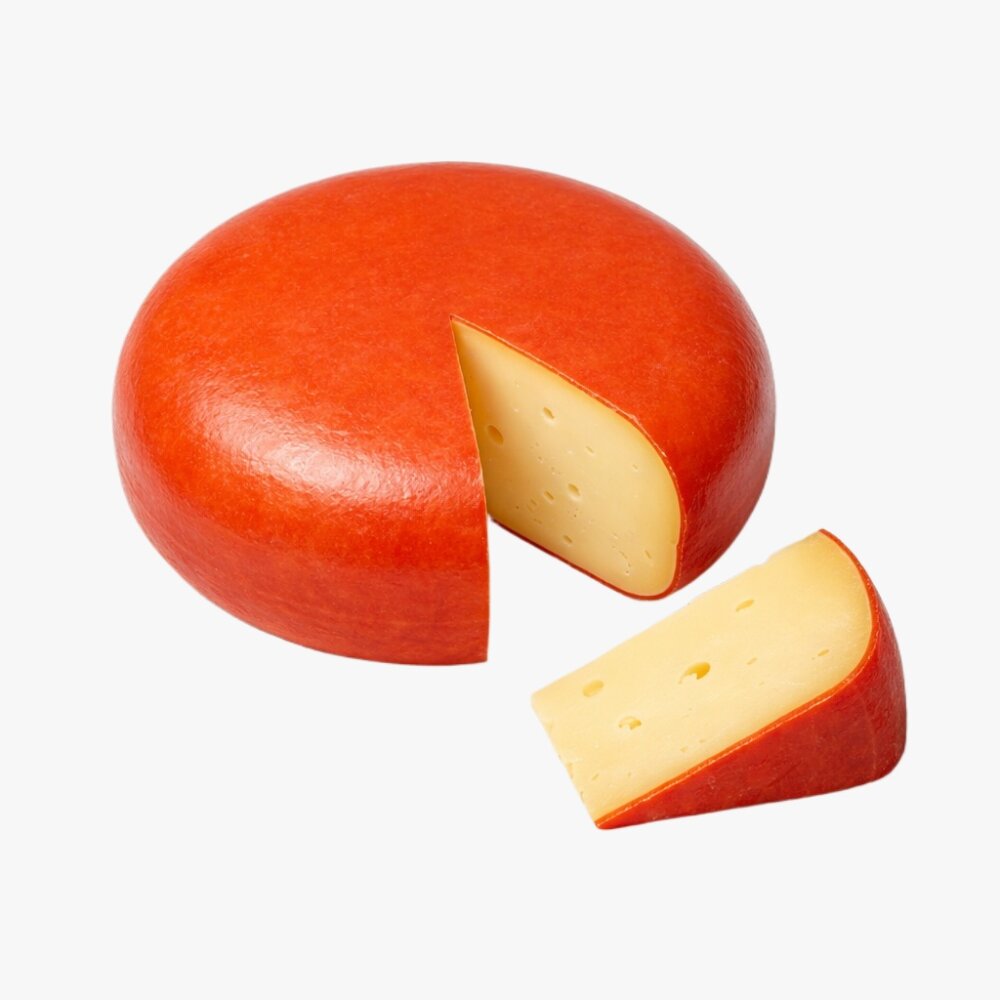 Gouda 3D model - 3DModels.org
