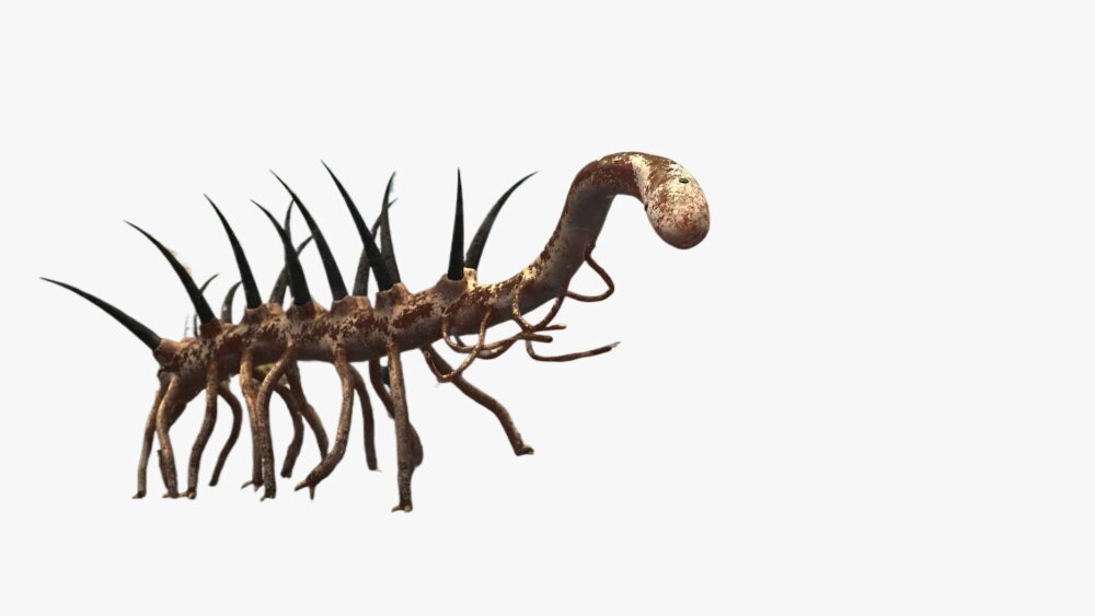 Hallucigenia 3D model - 3DModels.org
