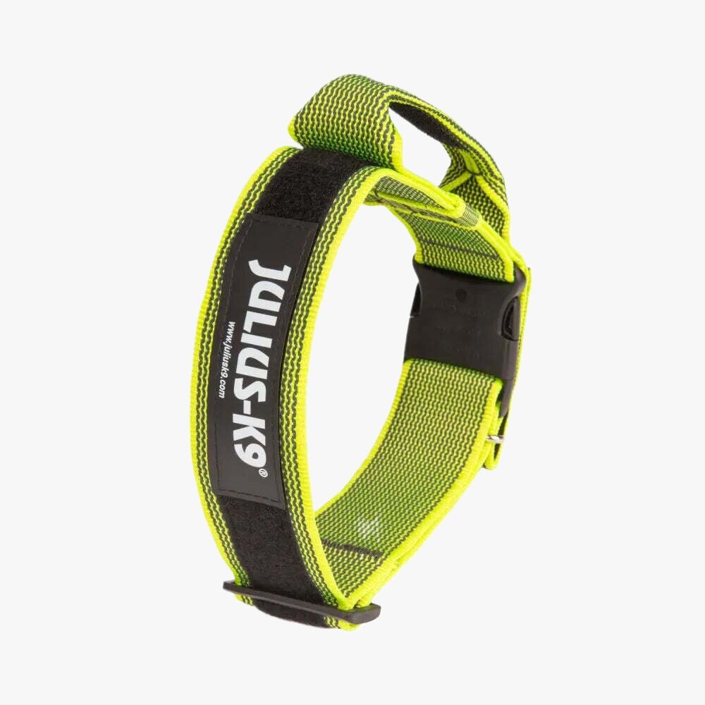 Julius-K9 IDC Color and Gray Dog Collar 3D model - 3DModels.org