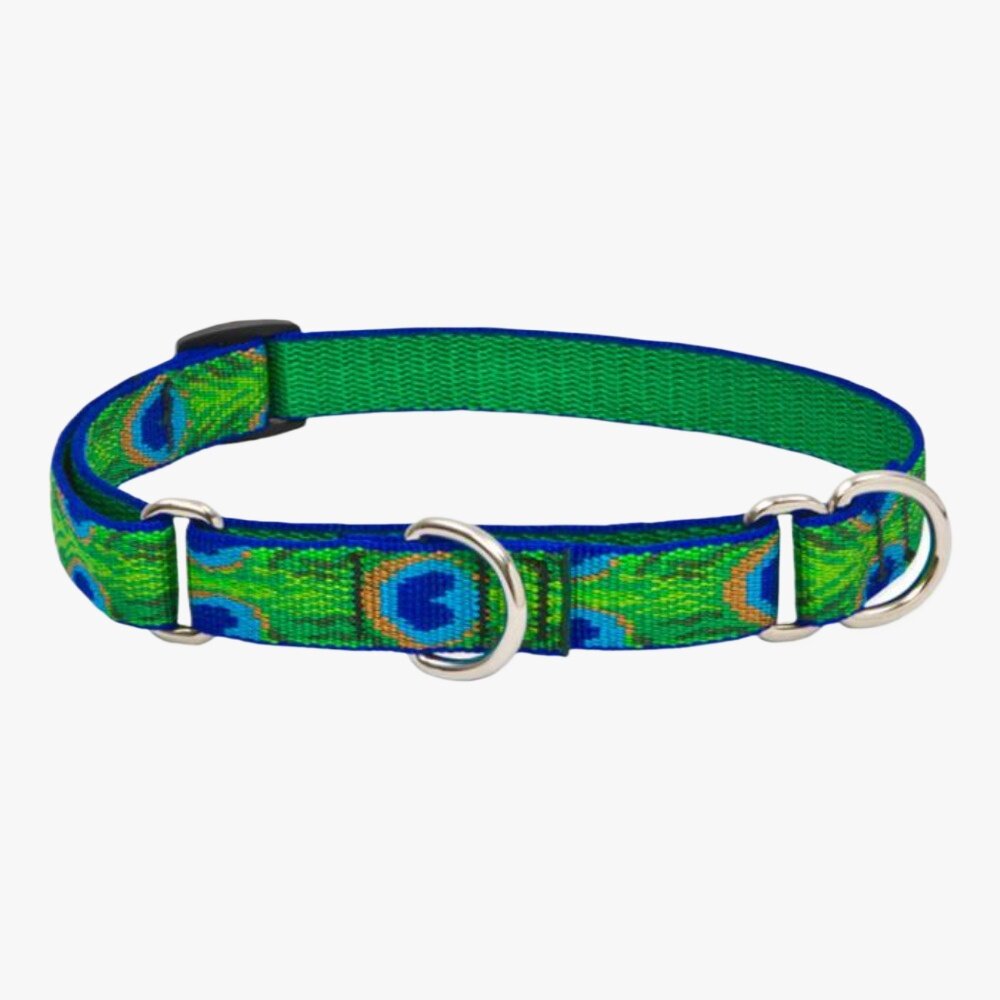 LupinePet Original Designs Dog Collar 3D model - 3DModels.org