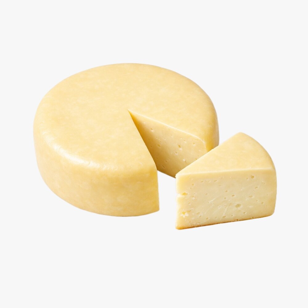 Monterey Jack 3D model - 3DModels.org