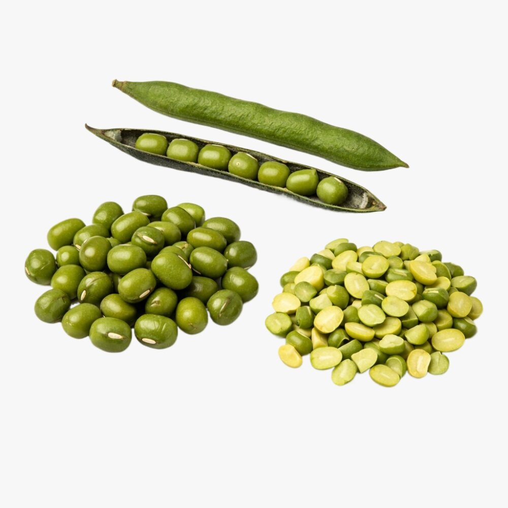 Frijoles Mungo Modelo 3D - 3DModels.org