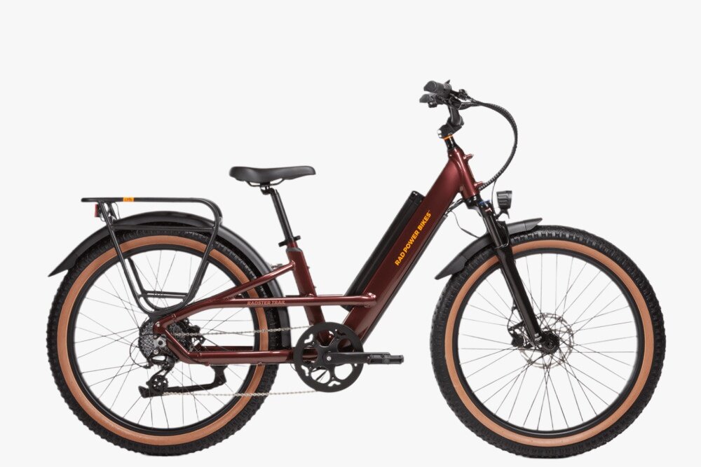 Bicicleta Rad Power Bikes Radster Trail con Neumáticos Anchos Modelo 3D ...