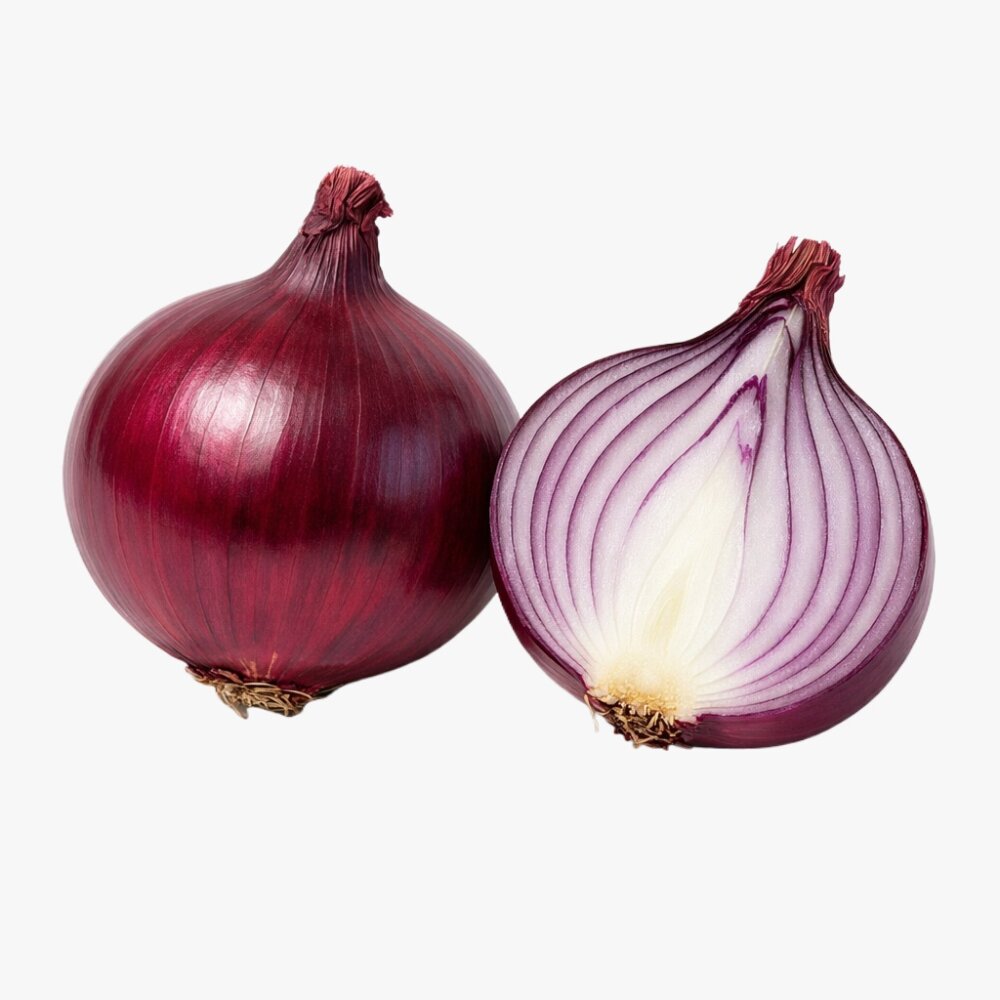 Red Onion 3D model - 3DModels.org