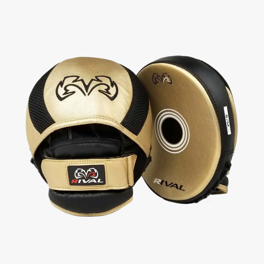 Rival Boxing Focus Mitts 3D model - 3DModels.org