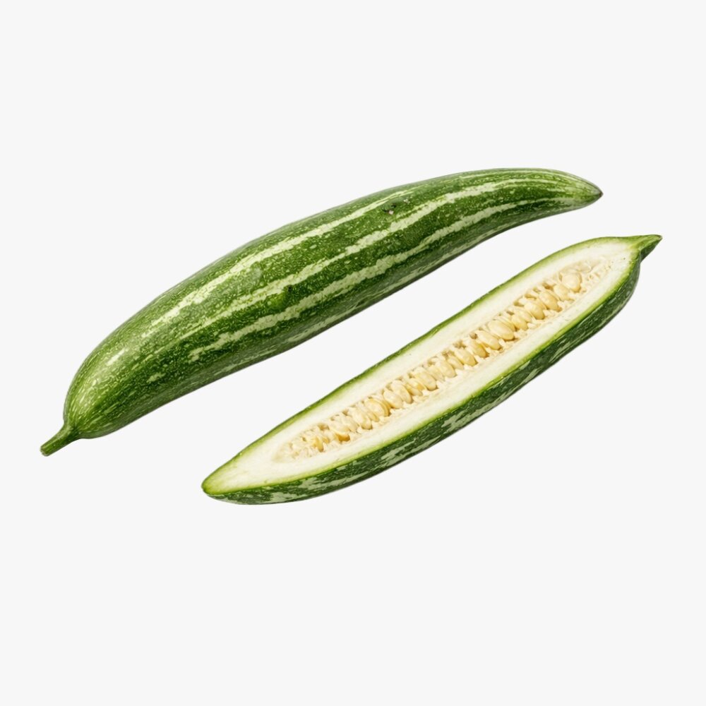 Snake Gourd 3D model - 3DModels.org