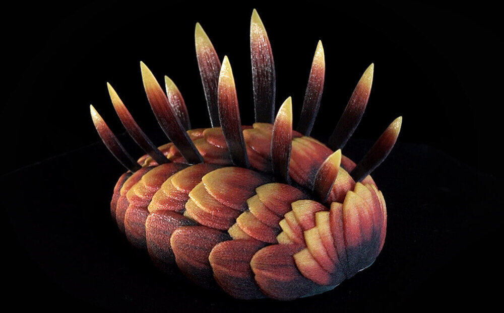 Wiwaxia 3D model - 3DModels.org