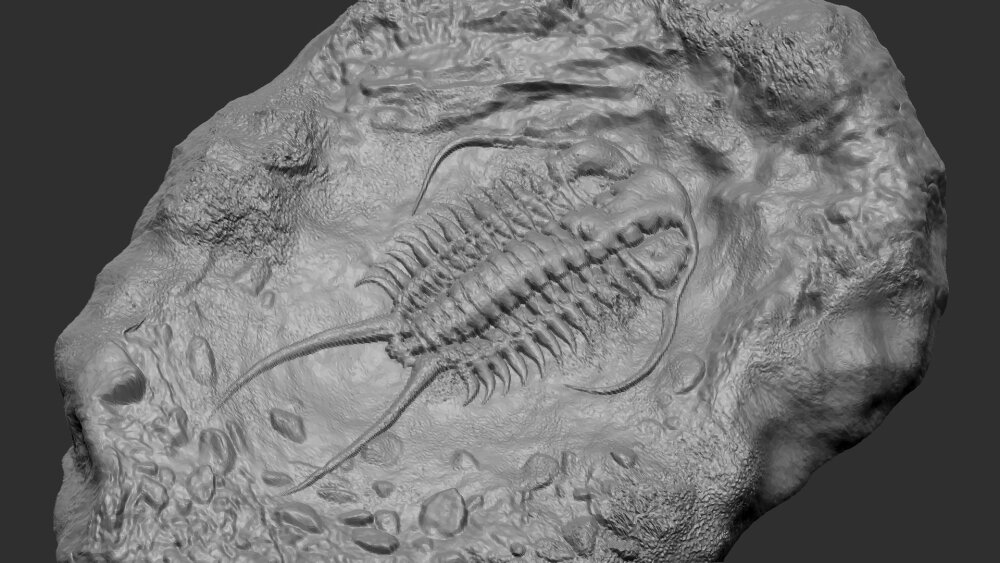 Trilobite Mineral Fossile – Realistic Printable and Keychain 3D ...