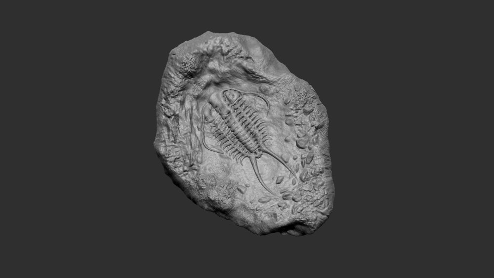 Trilobite Mineral Fossile – Realistic Printable and Keychain 3D ...