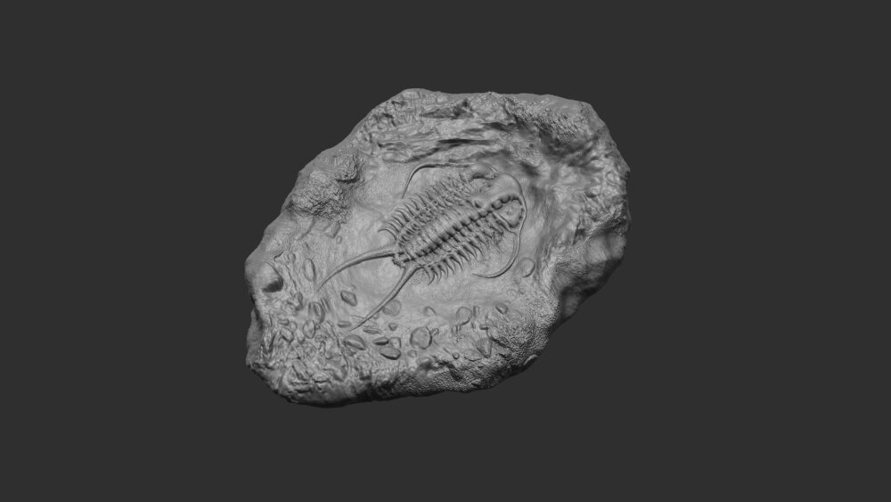 Trilobite Mineral Fossile – Realistic Printable and Keychain 3D ...