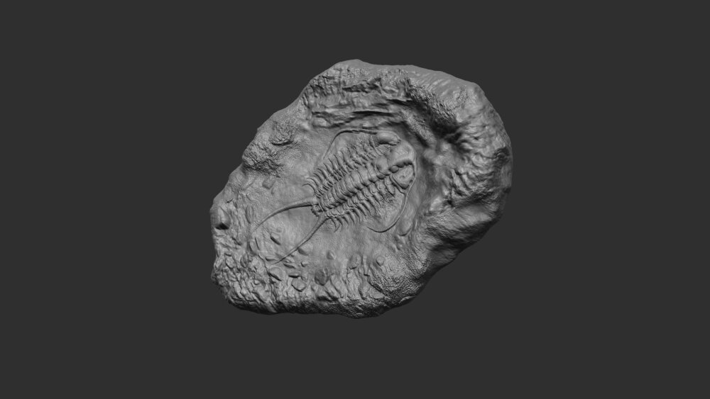 Trilobite Mineral Fossile – Realistic Printable and Keychain 3D ...