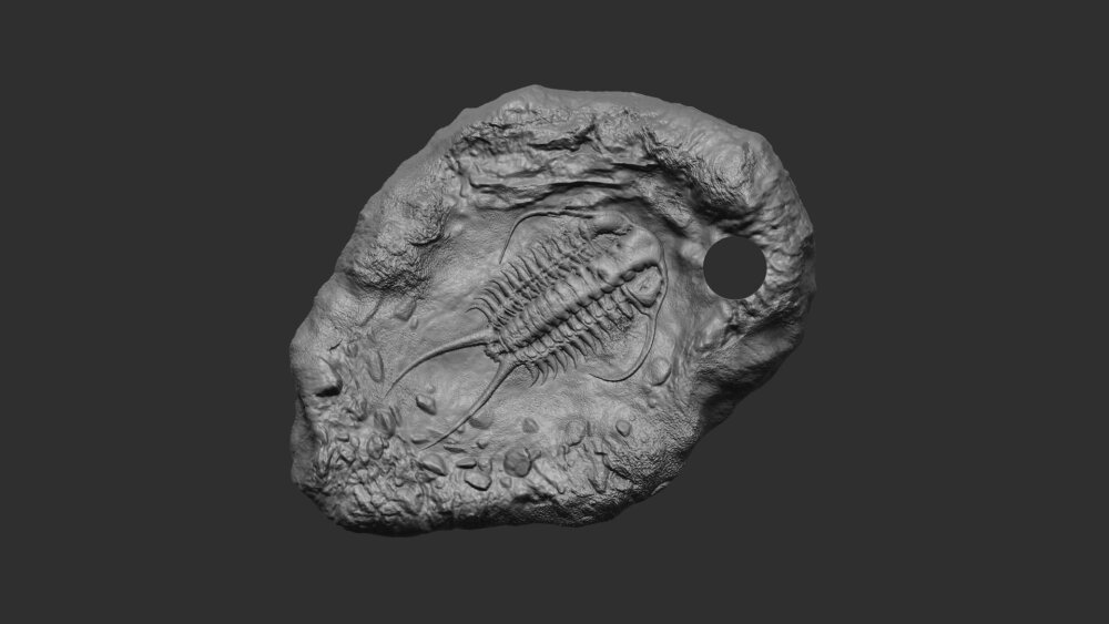 Trilobite Mineral Fossile – Realistic Printable and Keychain 3D ...