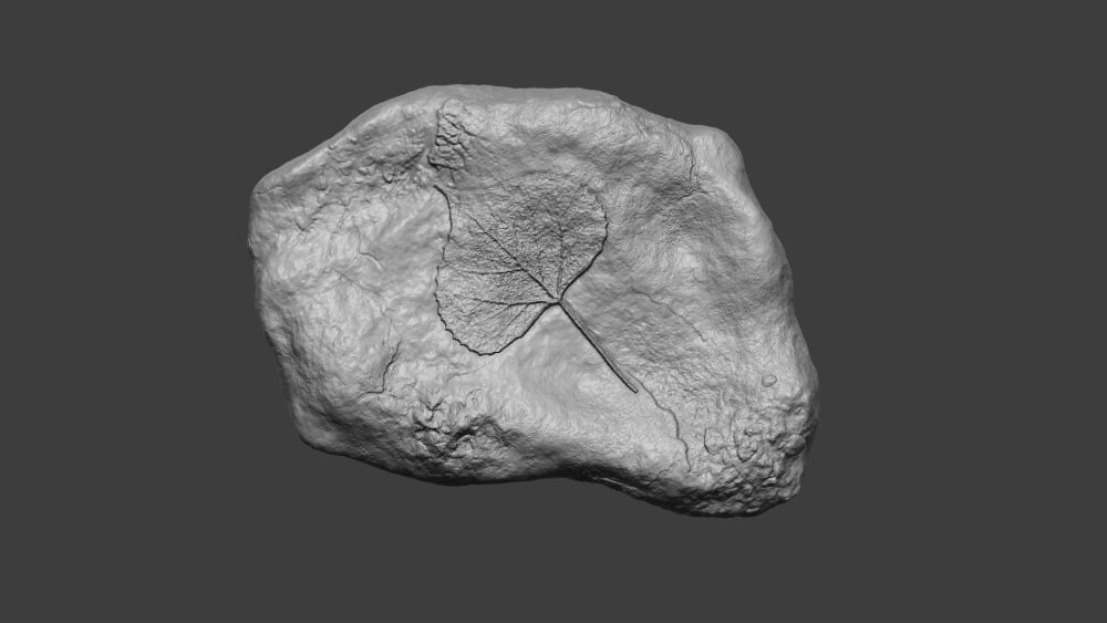 10 Mineral Fossiles Collection – Realistic Printable Resin 3D model ...