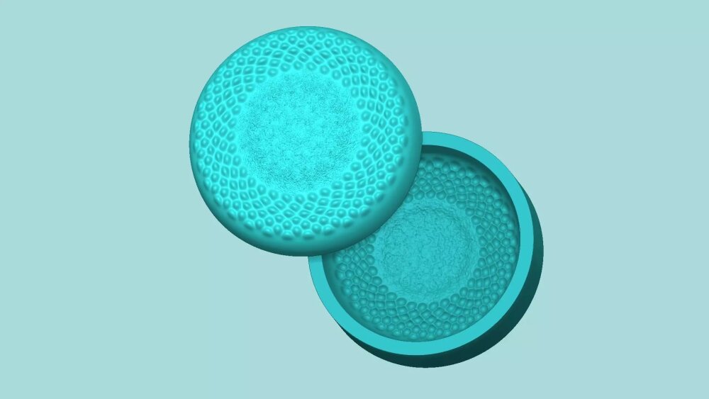 Silicone Mold Maker – Template – Center of Sunflower 3D model ...