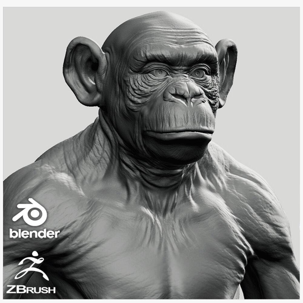 Chimpancé Topology UV Map Modelo 3D - Descargar Mammalia on 3DModels.org