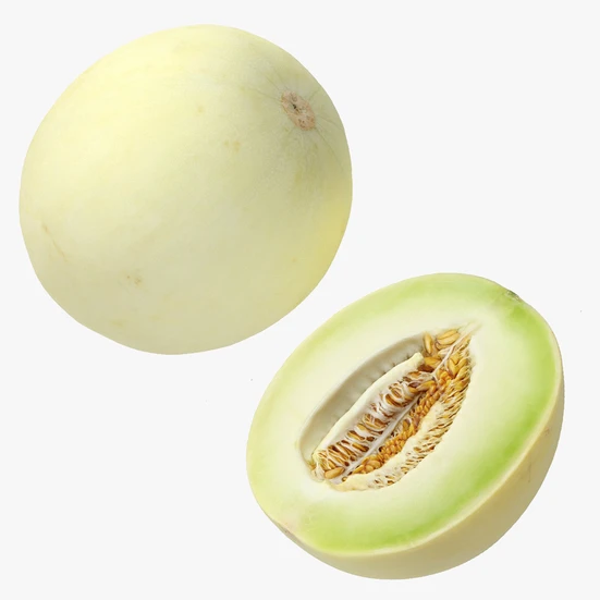 Melon 3D Models Download - 3DModels.org