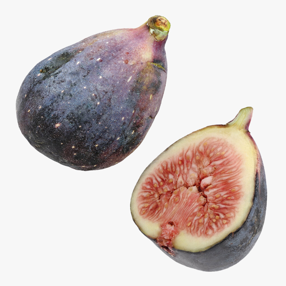 Fig Fruit 3D model - Download Fruit on 3DModels.org