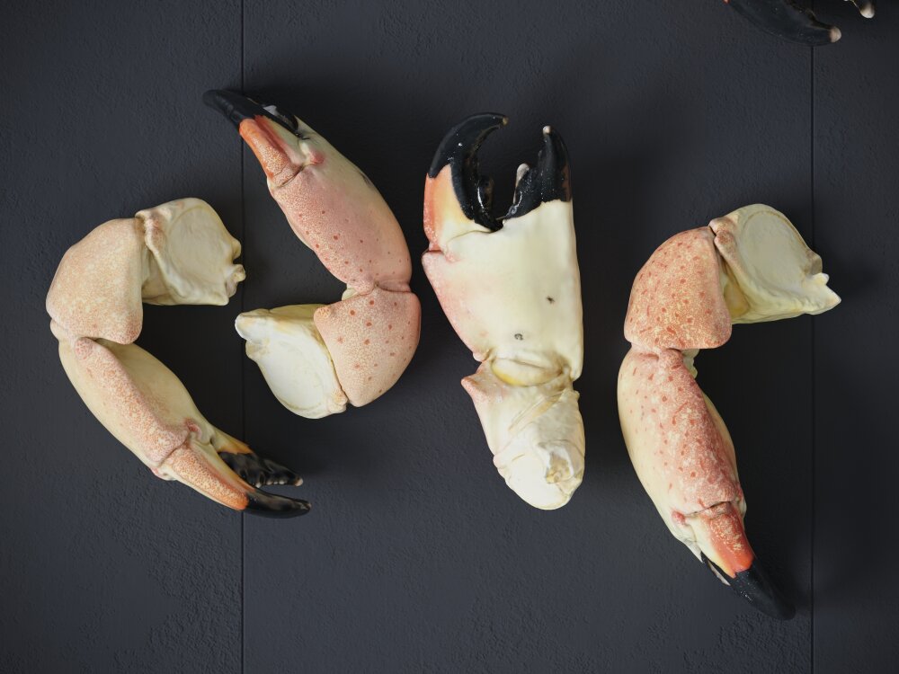 Stone Crab Claws 3D model - Download Seafood on 3DModels.org