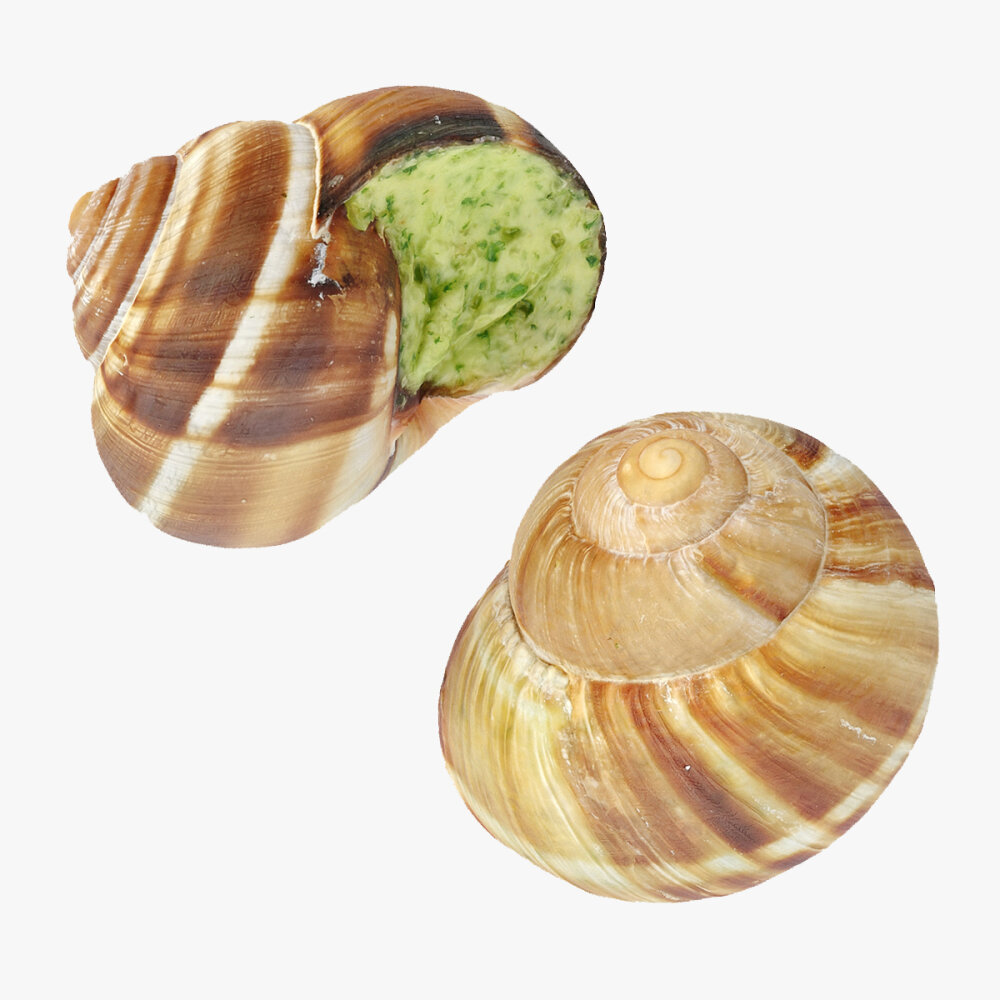 Escargots (snails) with Herb Garlic Butter Filling 3D model - Download ...