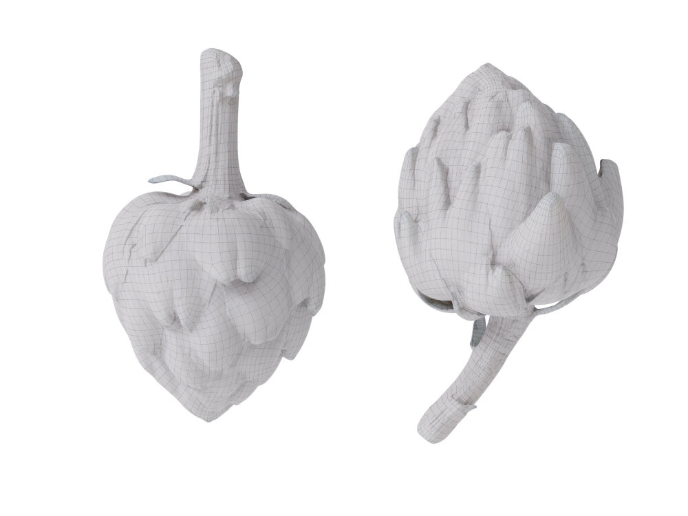 Fresh Artichoke with Cross-Section View 3D model - Download Vegetables ...