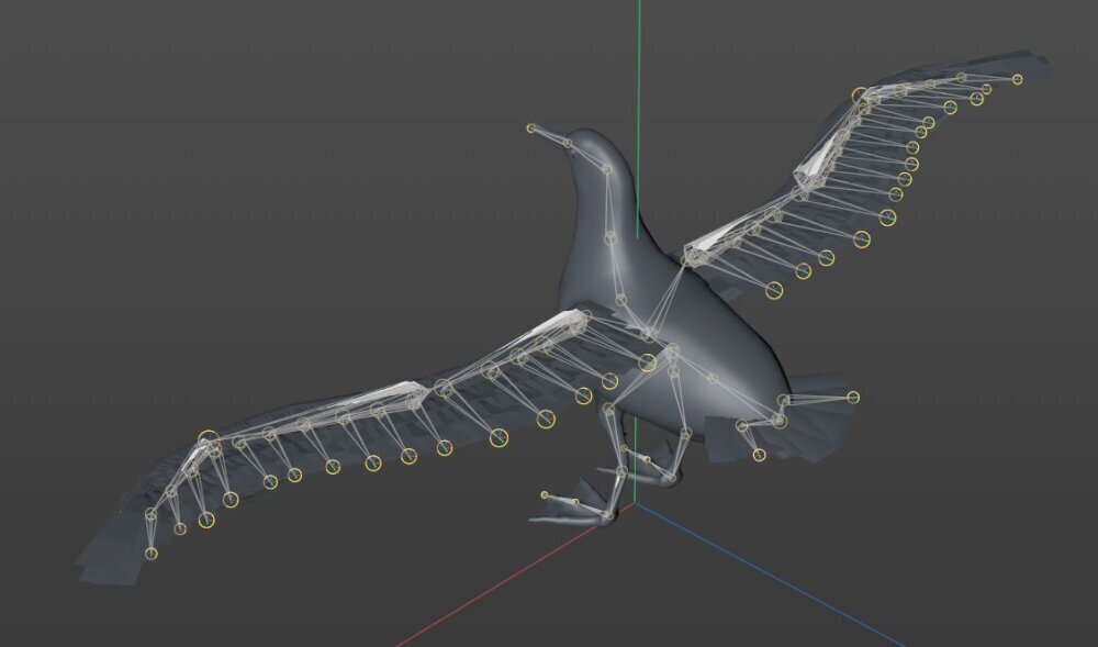 Albatross C4D 3D model - Download Birds on 3DModels.org