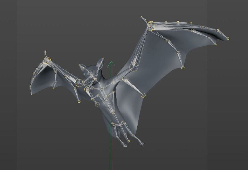 Bat C4D 3D model - Download Mammals on 3DModels.org
