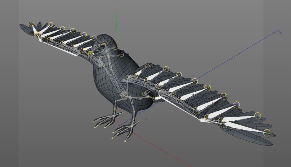 Falcon C4D 3D model - Download Birds on 3DModels.org