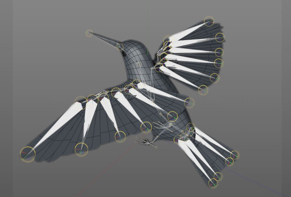 Colibrí C4D Modelo 3D - Descargar Aves on 3DModels.org