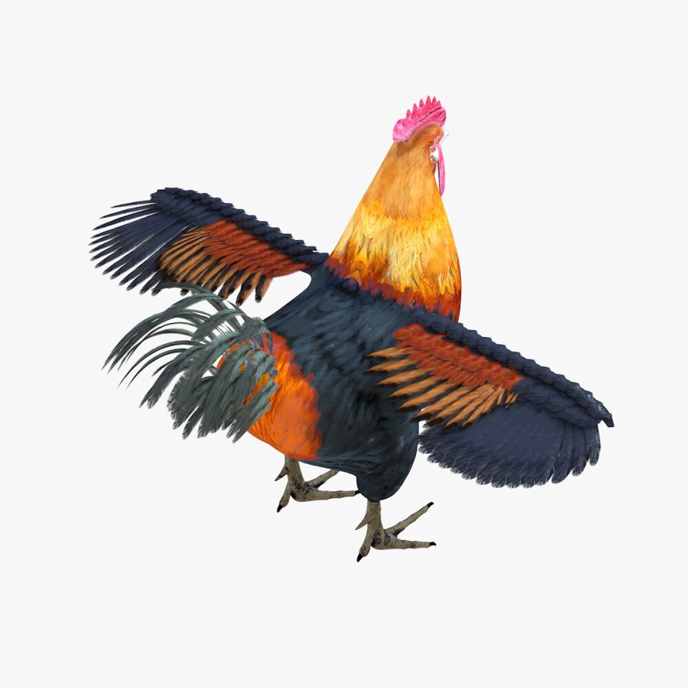 Rooster C4D 3D model - Download Birds on 3DModels.org