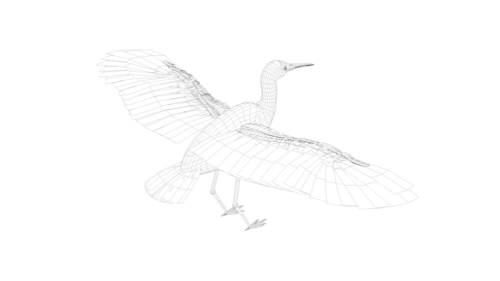 Stork C4D 3D model - Download Birds on 3DModels.org