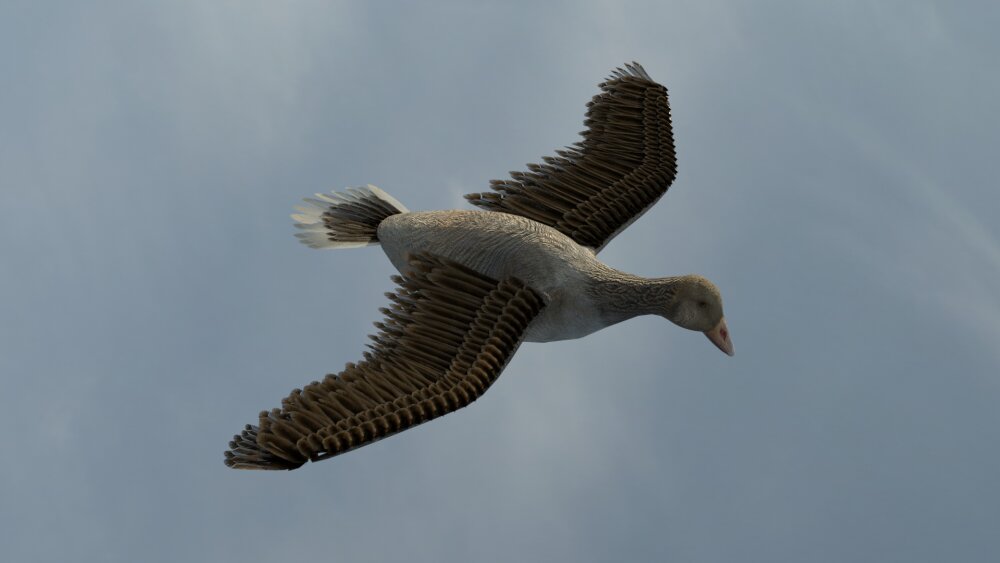 Goose Blend 3D model - Download Birds on 3DModels.org