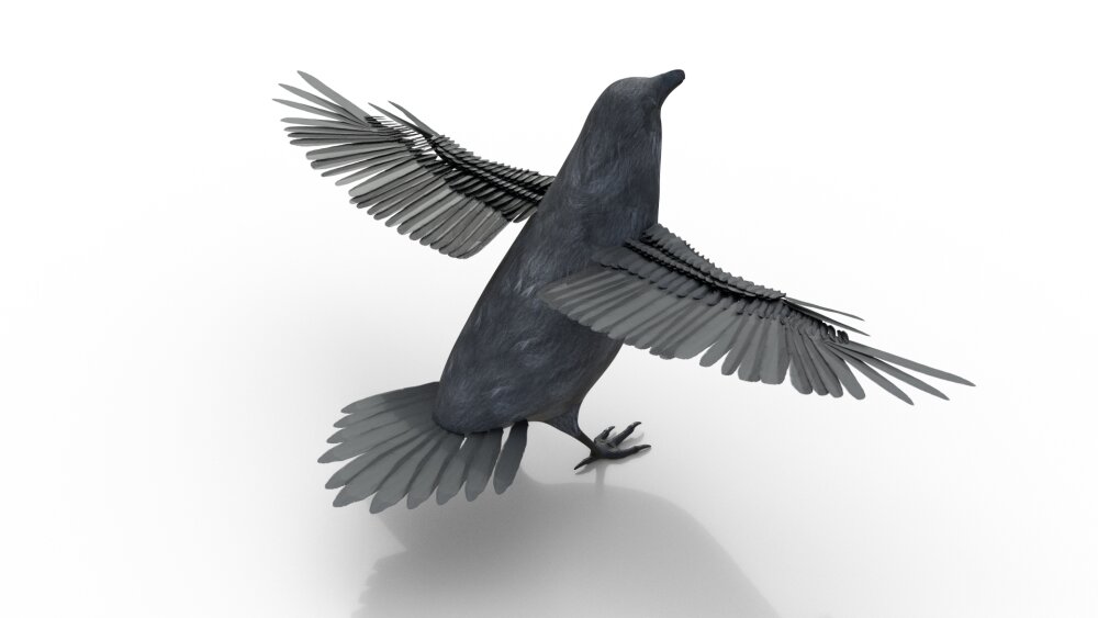 Raven Blend 3D model - Download Birds on 3DModels.org