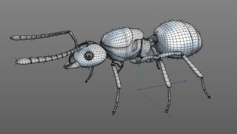 Ant C4D 3D model - Download Insects on 3DModels.org
