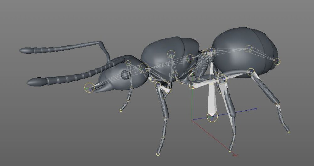 Ant C4D 3D model - Download Insects on 3DModels.org