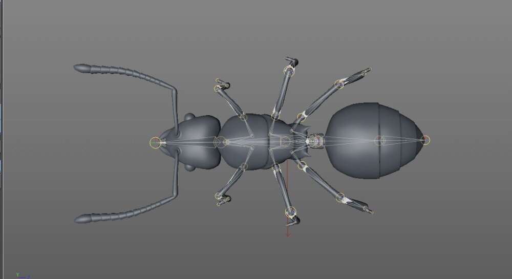 Ant C4D 3D model - Download Insects on 3DModels.org