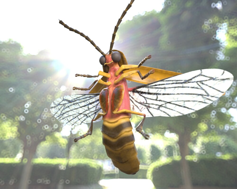 Firefly C4D 3D model - Download Insects on 3DModels.org