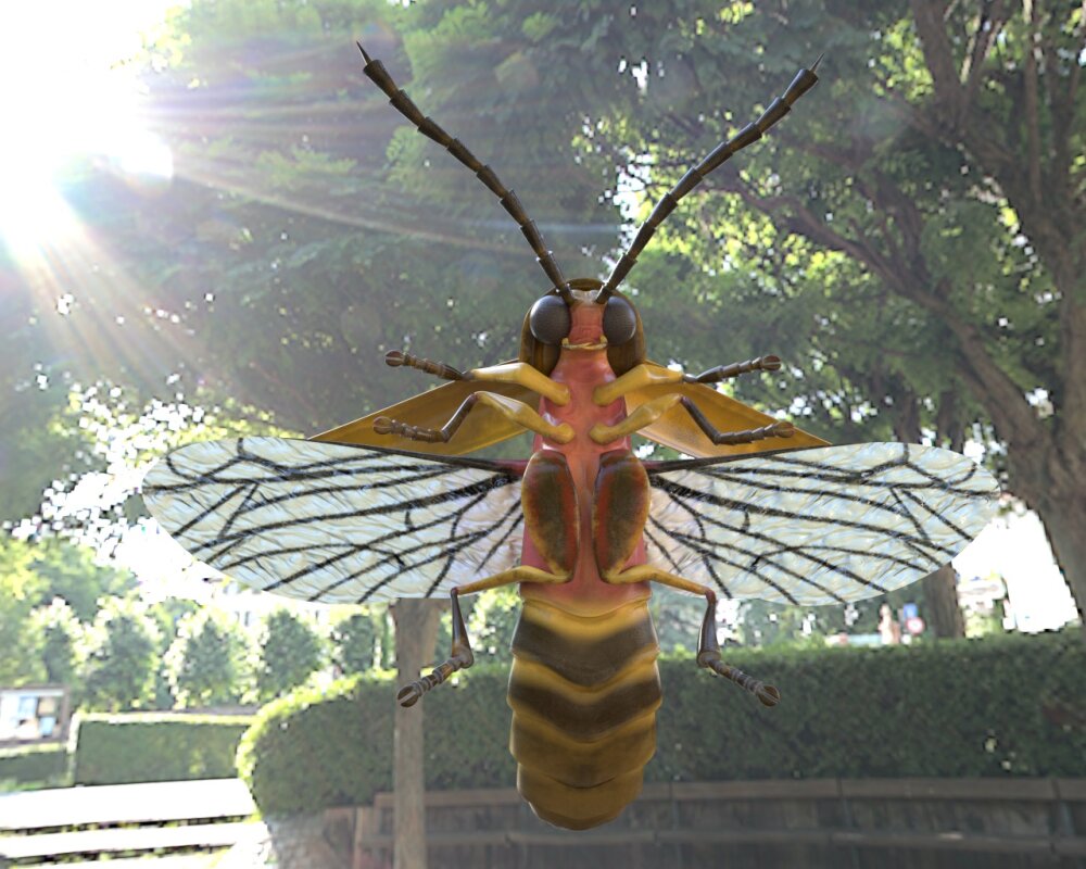 Firefly C4D 3D model - Download Insects on 3DModels.org