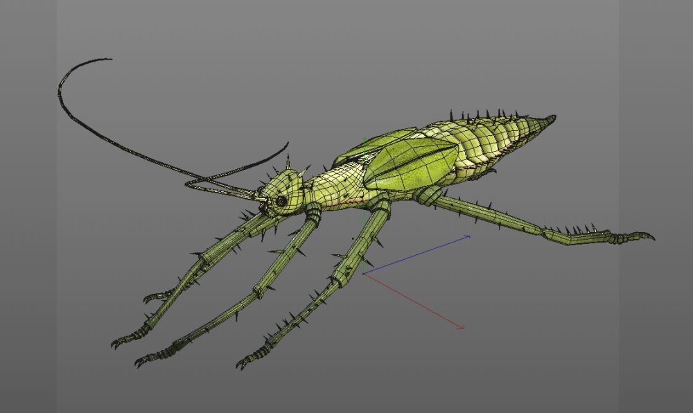 Jungle Nymph C4D 3D model - Download Insects on 3DModels.org