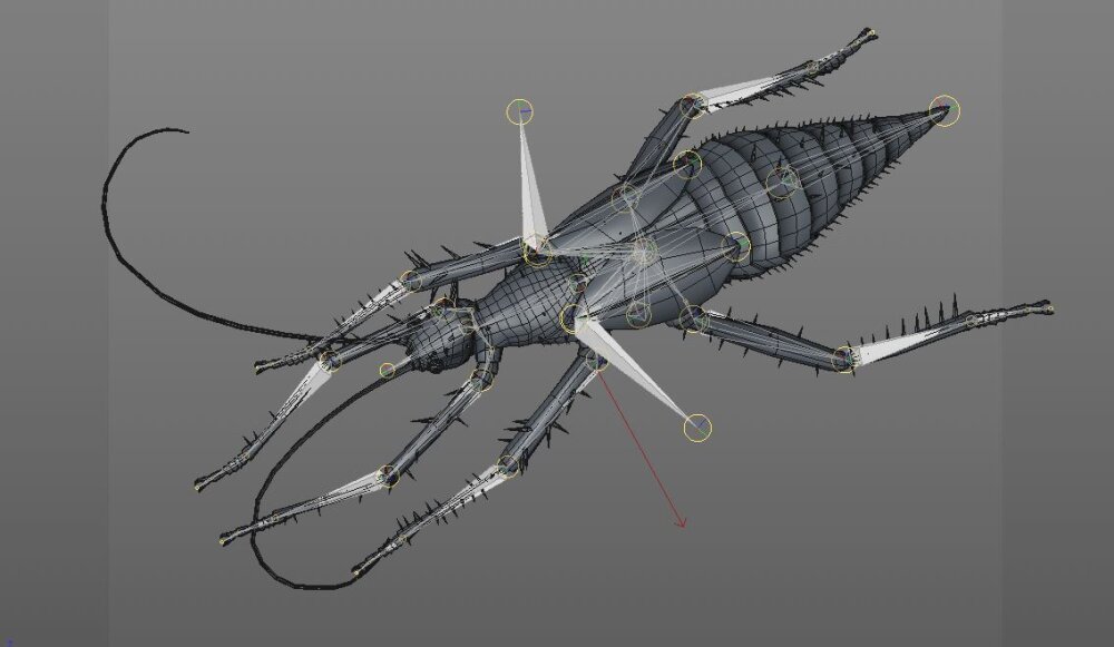Jungle Nymph C4D 3D model - Download Insects on 3DModels.org
