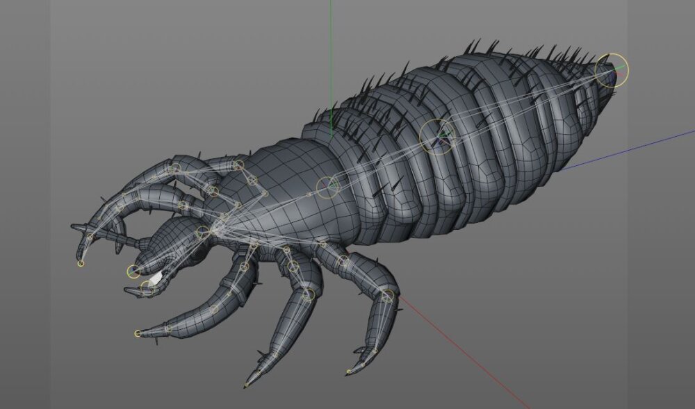 Louse C4D 3D model - Download Insects on 3DModels.org