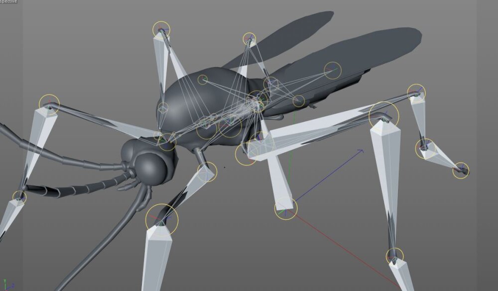 Mosquito C4D 3D model - Download Insects on 3DModels.org
