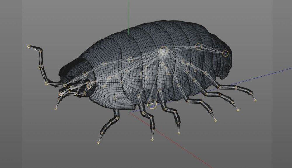 Pill Bug C4D 3D model - Download Insects on 3DModels.org