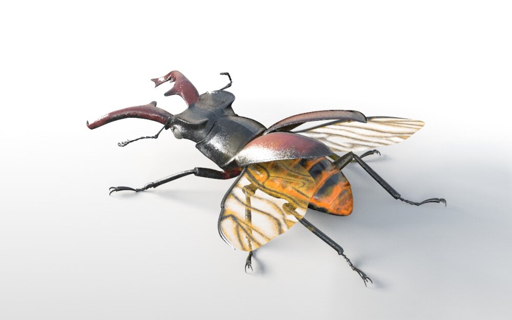 Stag Beetle C4D 3D model - Download Insects on 3DModels.org