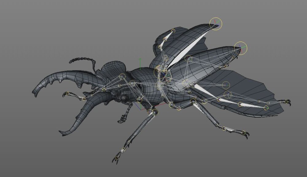 Stag Beetle C4D 3D model - Download Insects on 3DModels.org