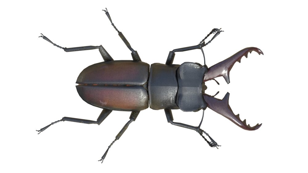 Stag Beetle Blend 3D model - Download Insects on 3DModels.org