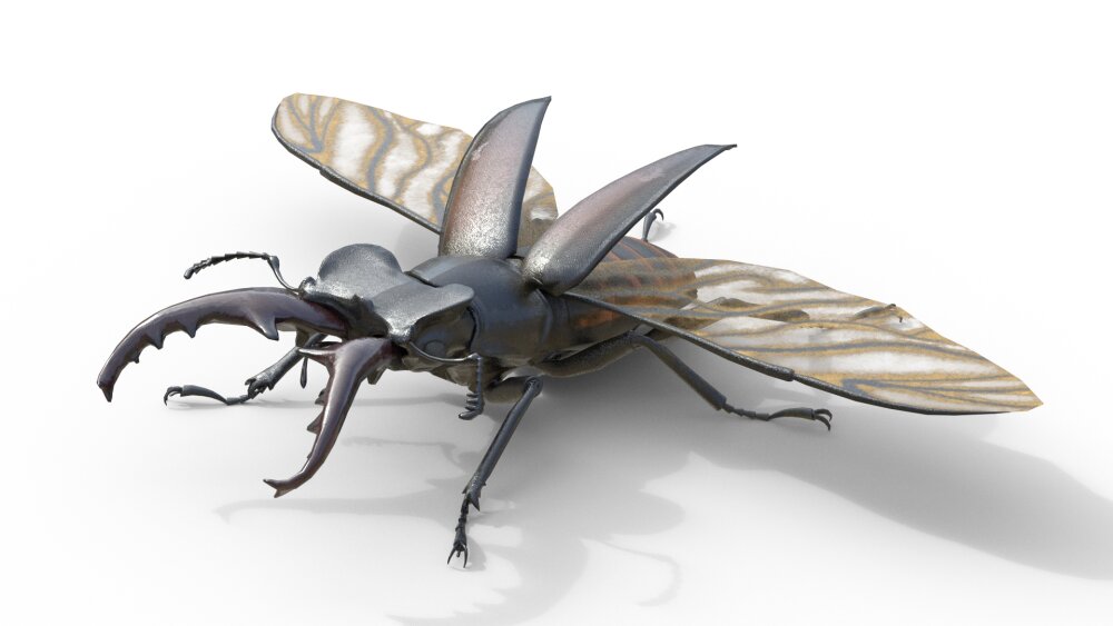 Stag Beetle Blend 3D model - Download Insects on 3DModels.org