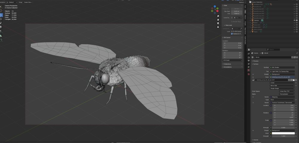 Moth Blend 3D model - Download Insects on 3DModels.org
