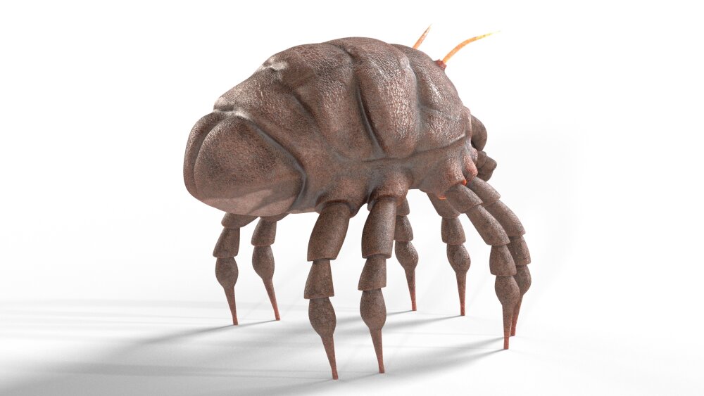 Dust Mite Blend 3D model - Download Arthropod on 3DModels.org