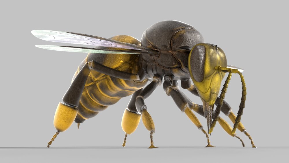 Bee Blend 3D model - Download Insects on 3DModels.org