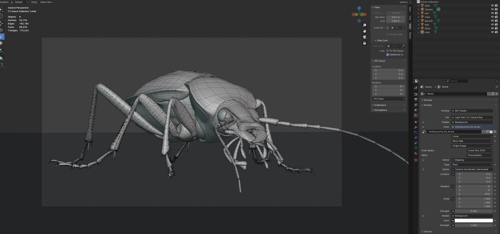 Ground Beetle Insect 3D model - Download Insects on 3DModels.org